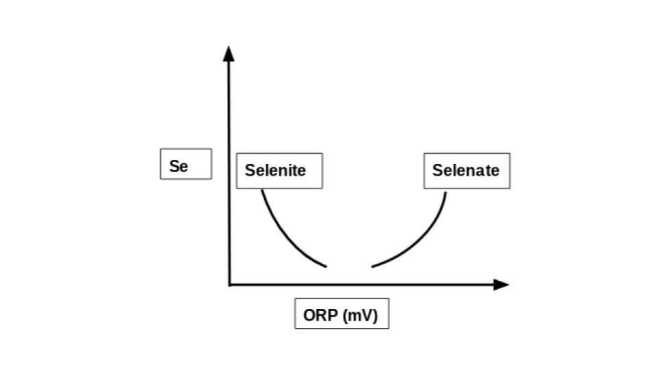 Wet FGD ORP Control. MSA is Indifferent! – Steve Feeney Consulting